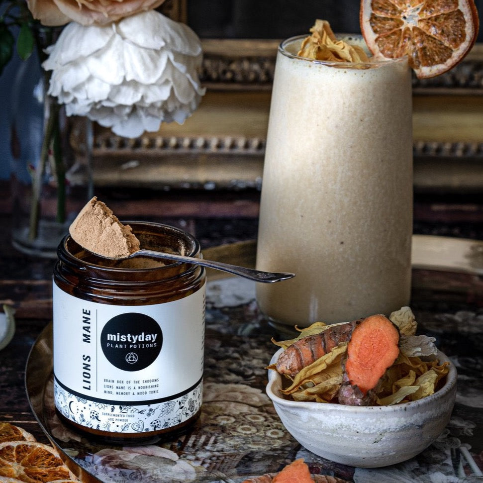 Lions Mane Powder – Wellington Apothecary